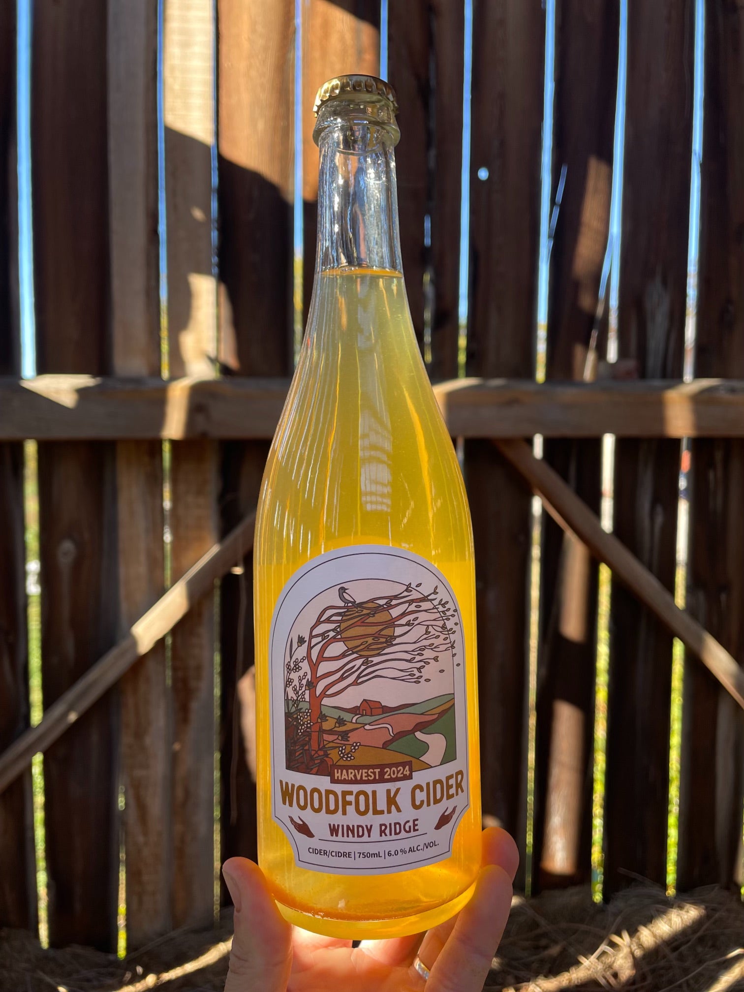 Windy Ridge Cider 2024 – Woodfolk Cider