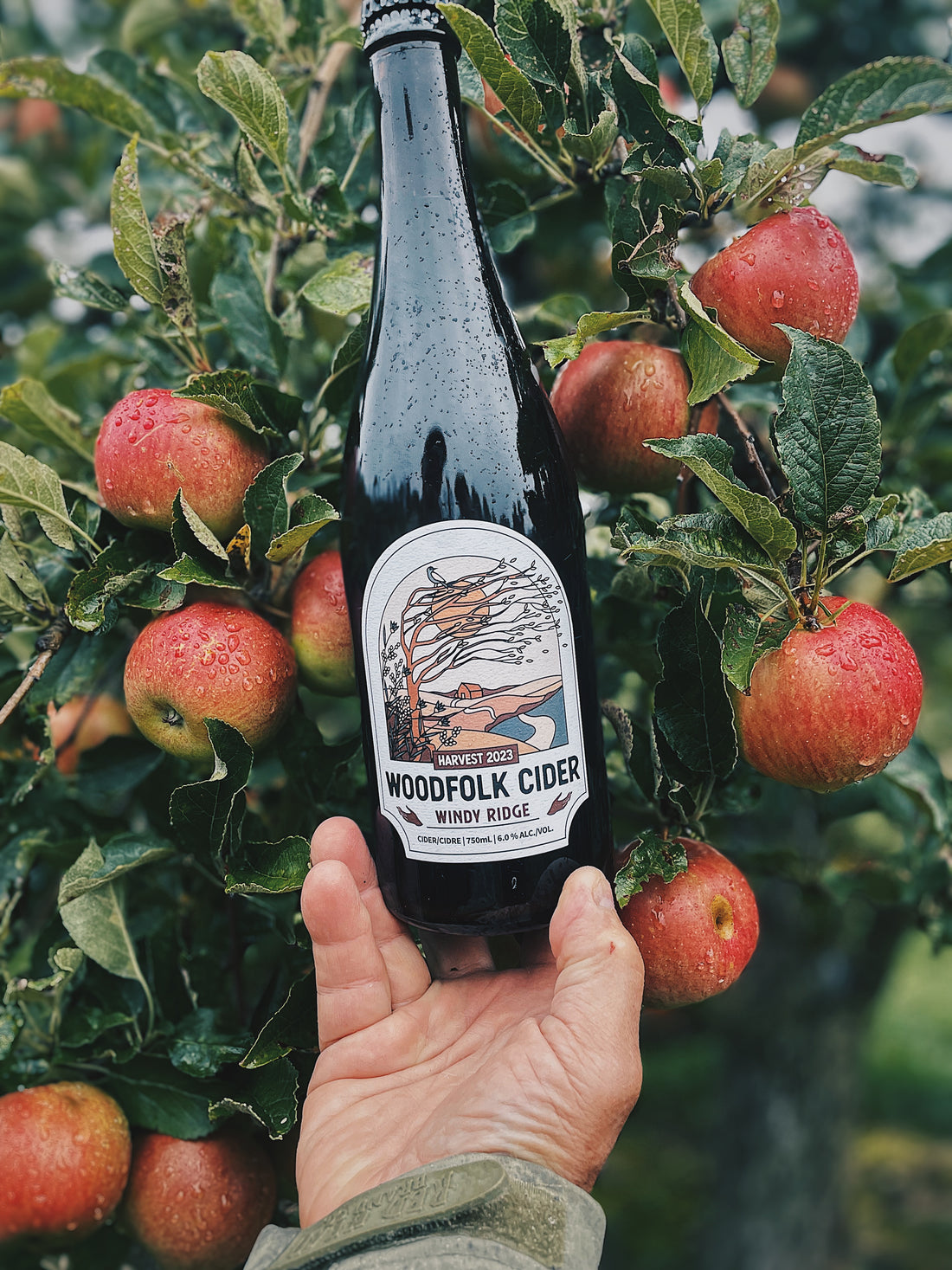 Woodfolk Cider